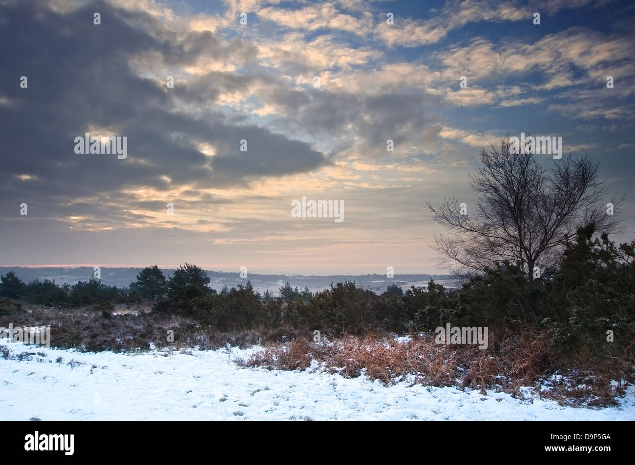 Moors winter hi-res stock photography and images - Alamy