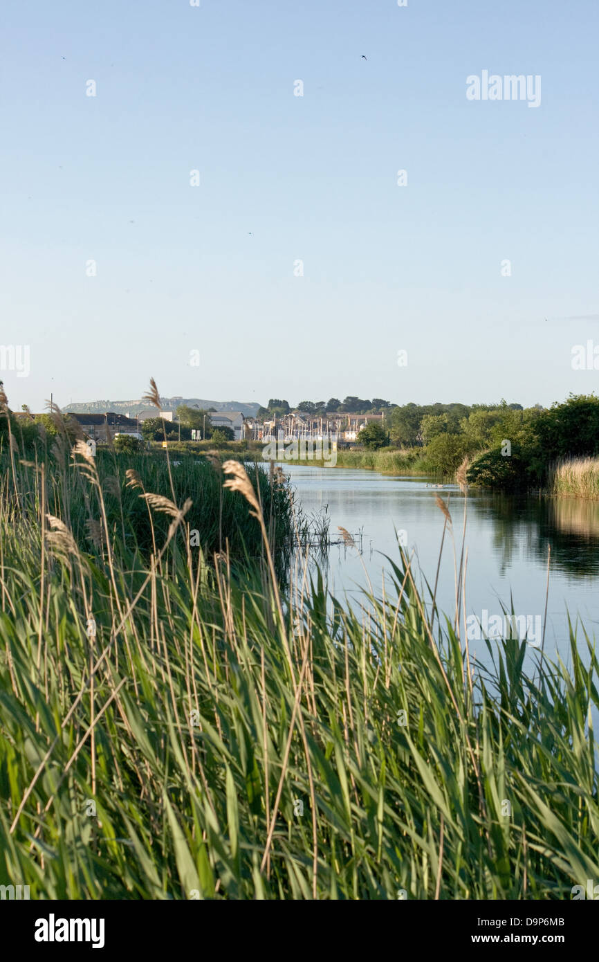 Radipole Lake High Resolution Stock Photography and Images - Alamy