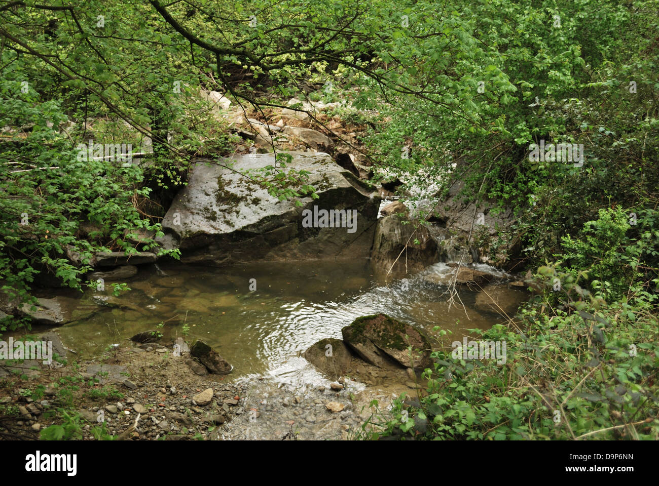 Rupit river surrounded by nature Stock Photo - Alamy