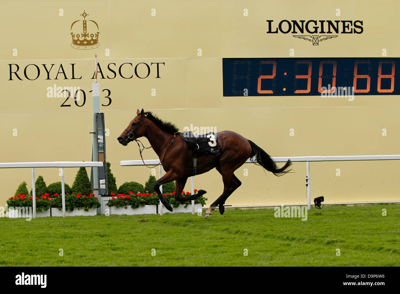 22.06.2013 - Ascot; Riderless Ektihaam during the Hardwicke Stakes ...