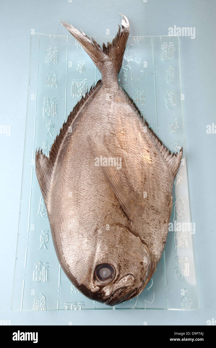 Fish article hi-res stock photography and images - Alamy