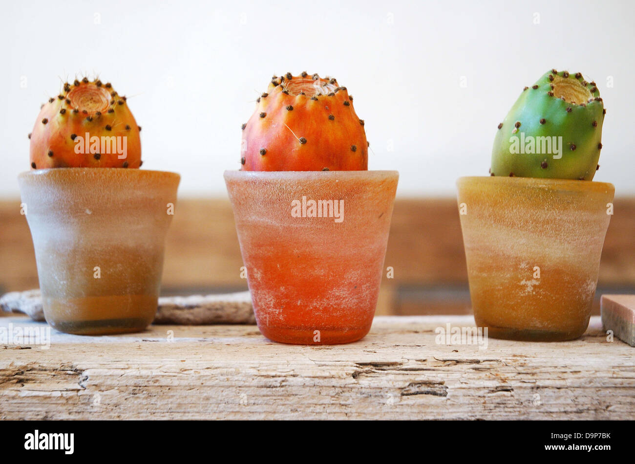 Three prickly pears in plant pots Stock Photo - Alamy