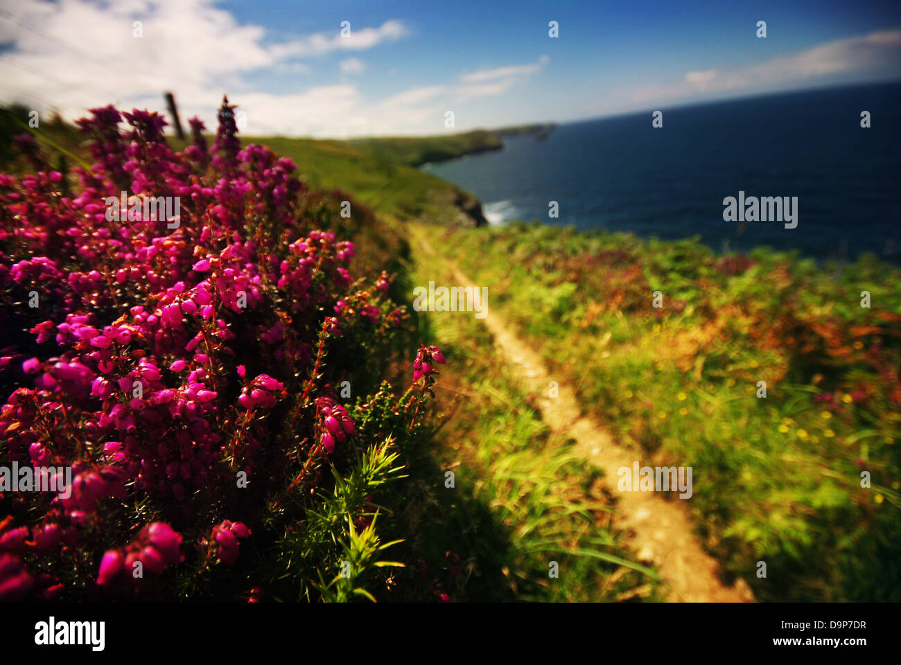 British coastal path Stock Photo - Alamy