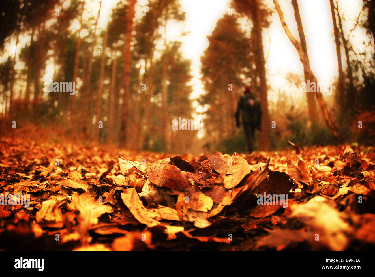 Colour walk hi-res stock photography and images - Alamy