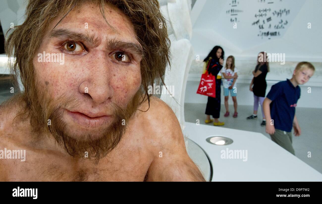 Proto hominid hi-res stock photography and images - Alamy