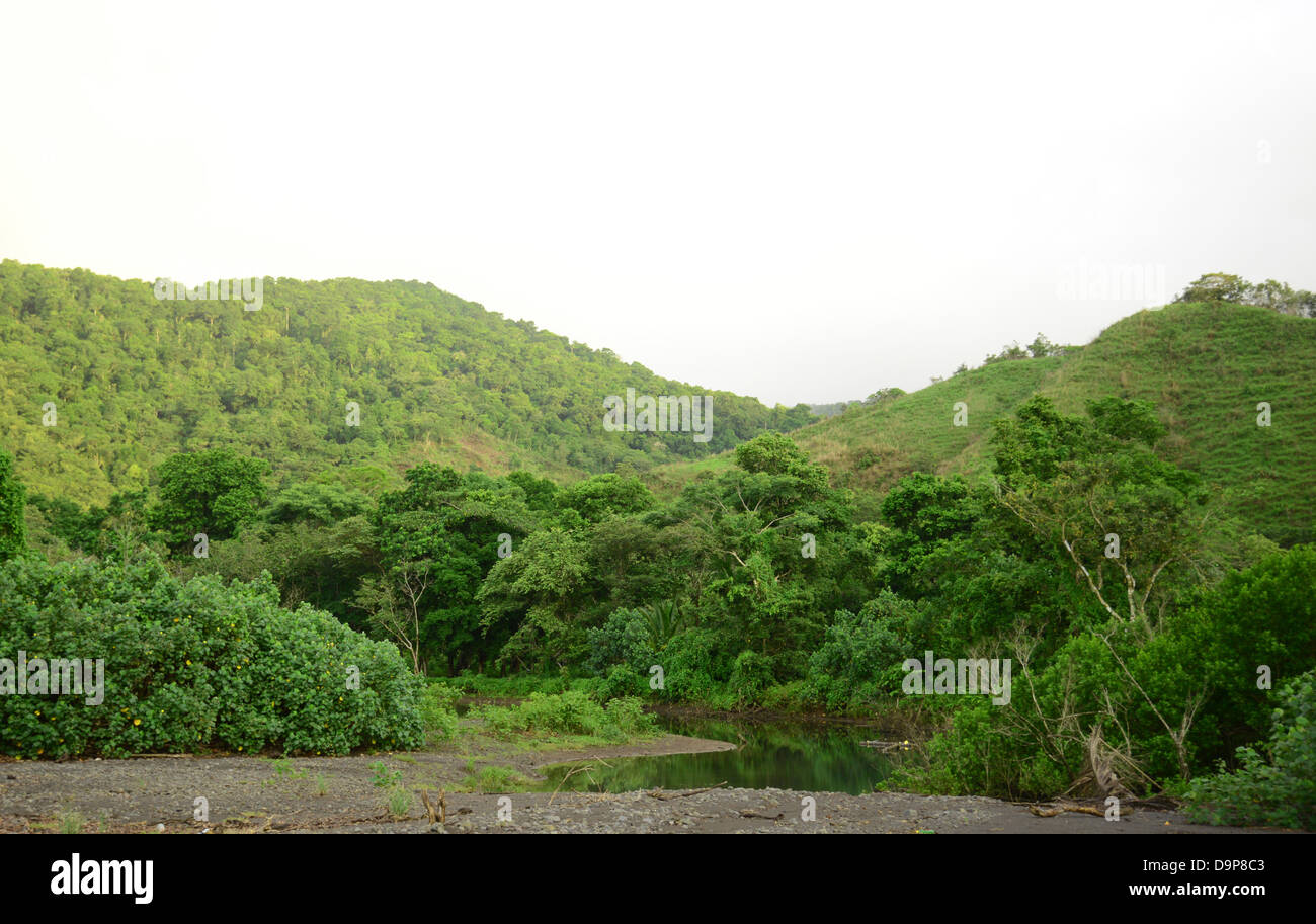 mountains and river in tropical rainforest in panama Stock Photo - Alamy