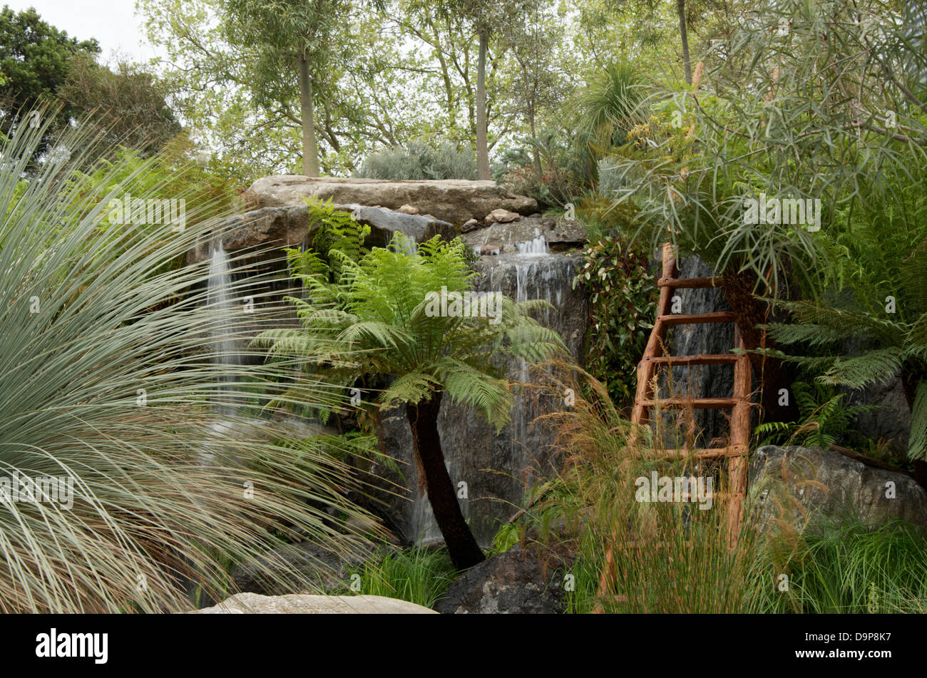 Tree fern and water falls in The Australian Trailfinders Garden at RHS ...