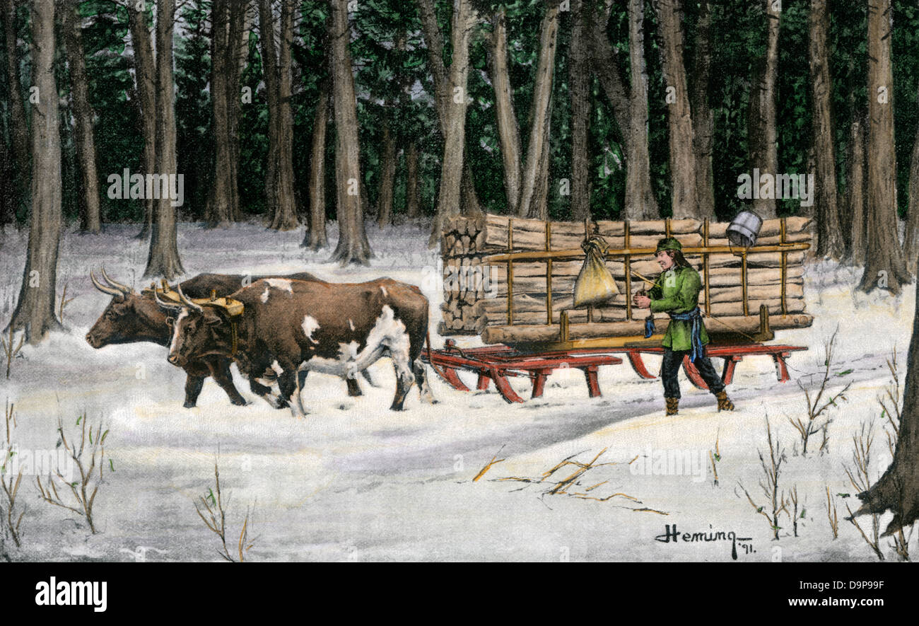 Ox oxen transportation High Resolution Stock Photography and Images - Alamy