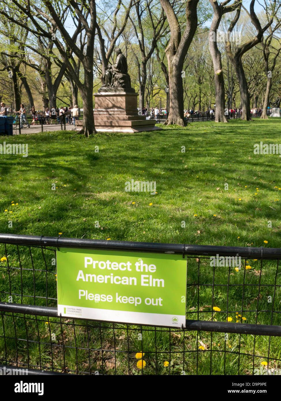 "Protect the American Elm" Sign, Poet's Walk, Central Park, NYC, USA ...