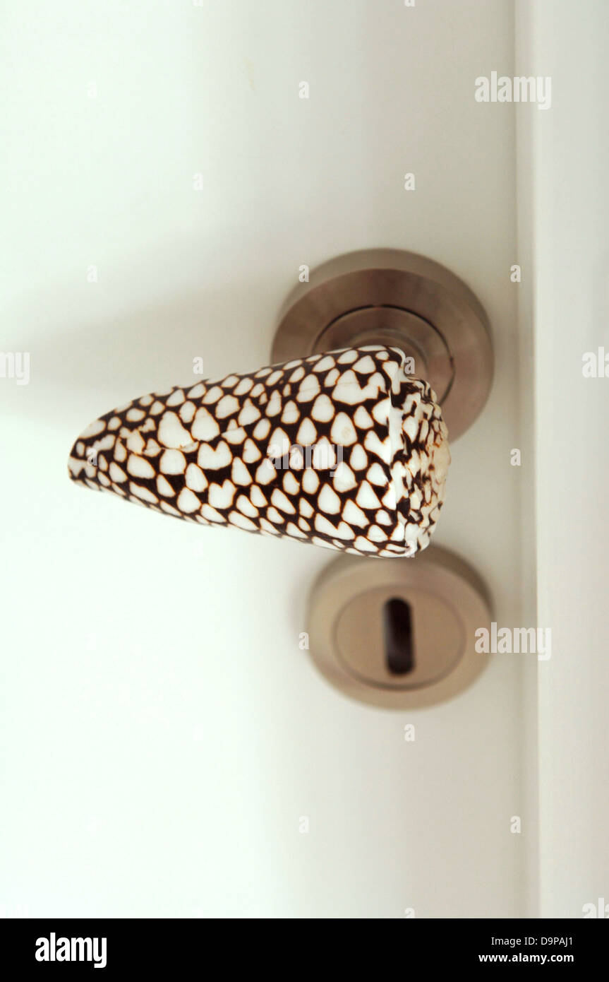 Door handle made of seashell Stock Photo - Alamy