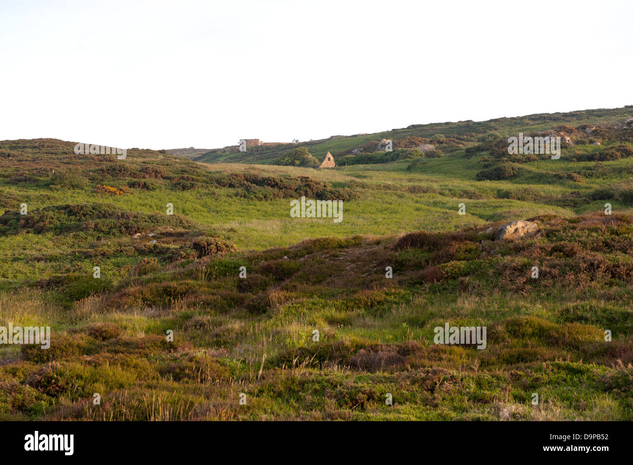 Irish hillside hi-res stock photography and images - Alamy