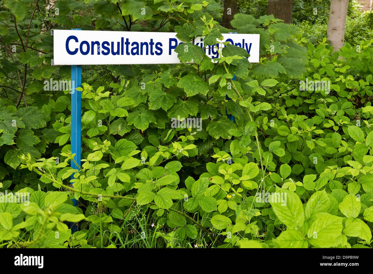 Notice "Consultants Parking only" overgrown at former Cookridge ...