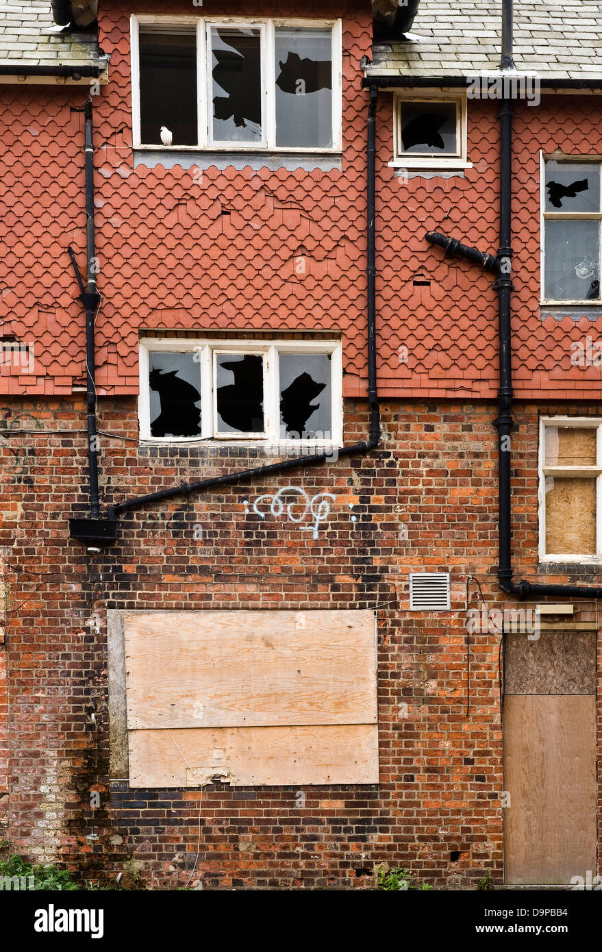Pigeon sitting at the broken window former Cookridge Hospital, Silk ...