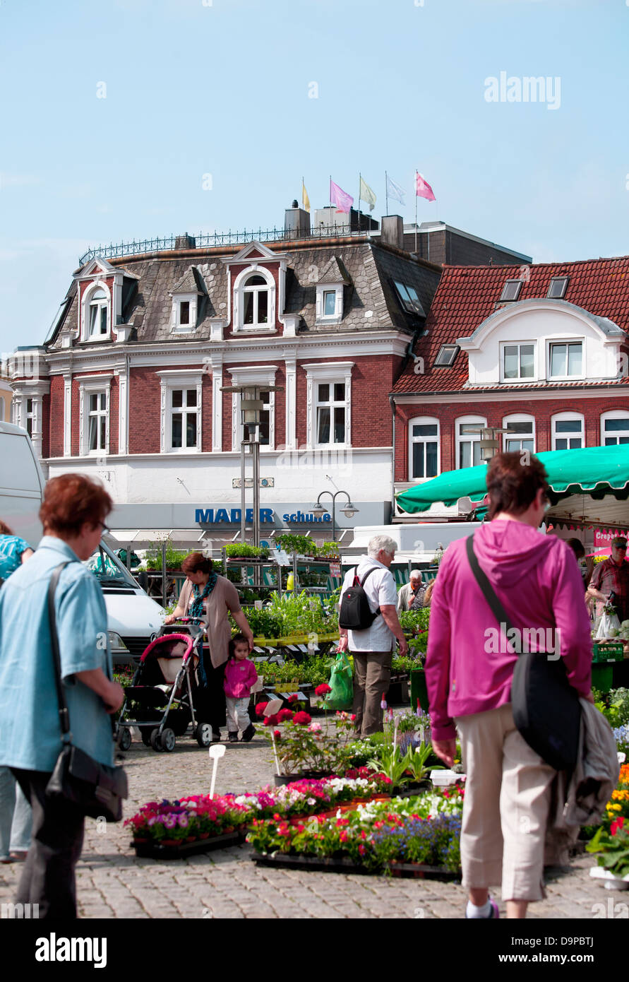 Husum flowers hi-res stock photography and images - Alamy
