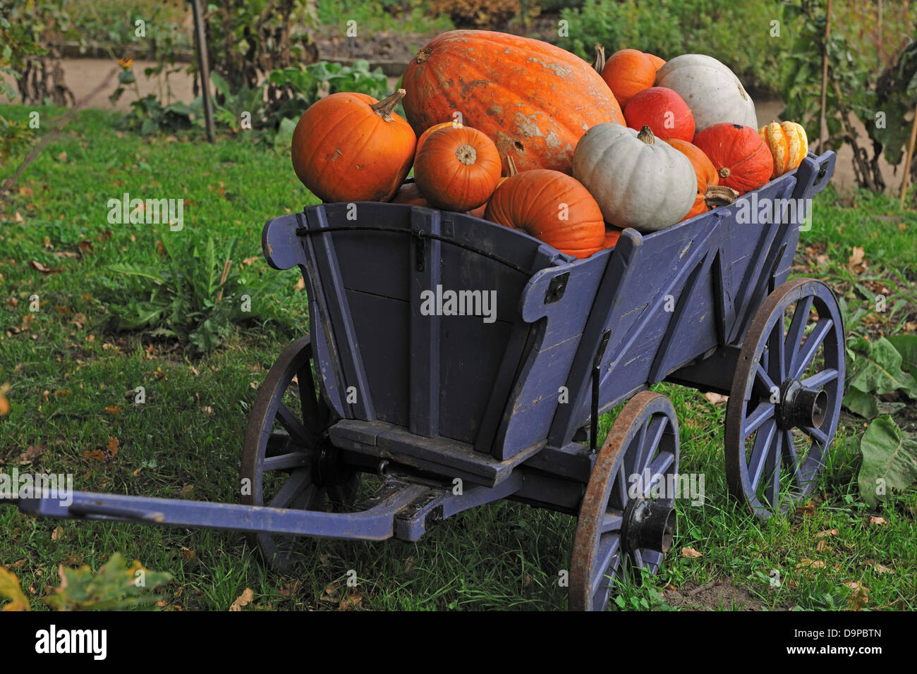 Hand cart hi-res stock photography and images - Alamy