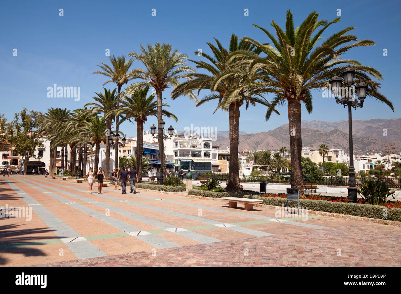Palm trees at the promenade of Nerja, Andalusia, Spain, Europe Stock ...