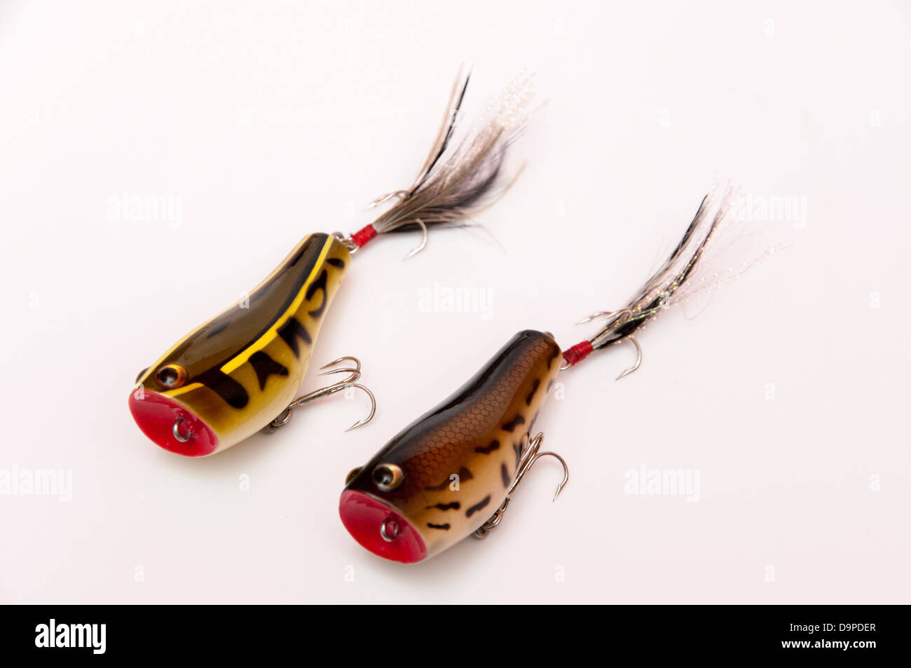 Fish behind hi-res stock photography and images - Alamy