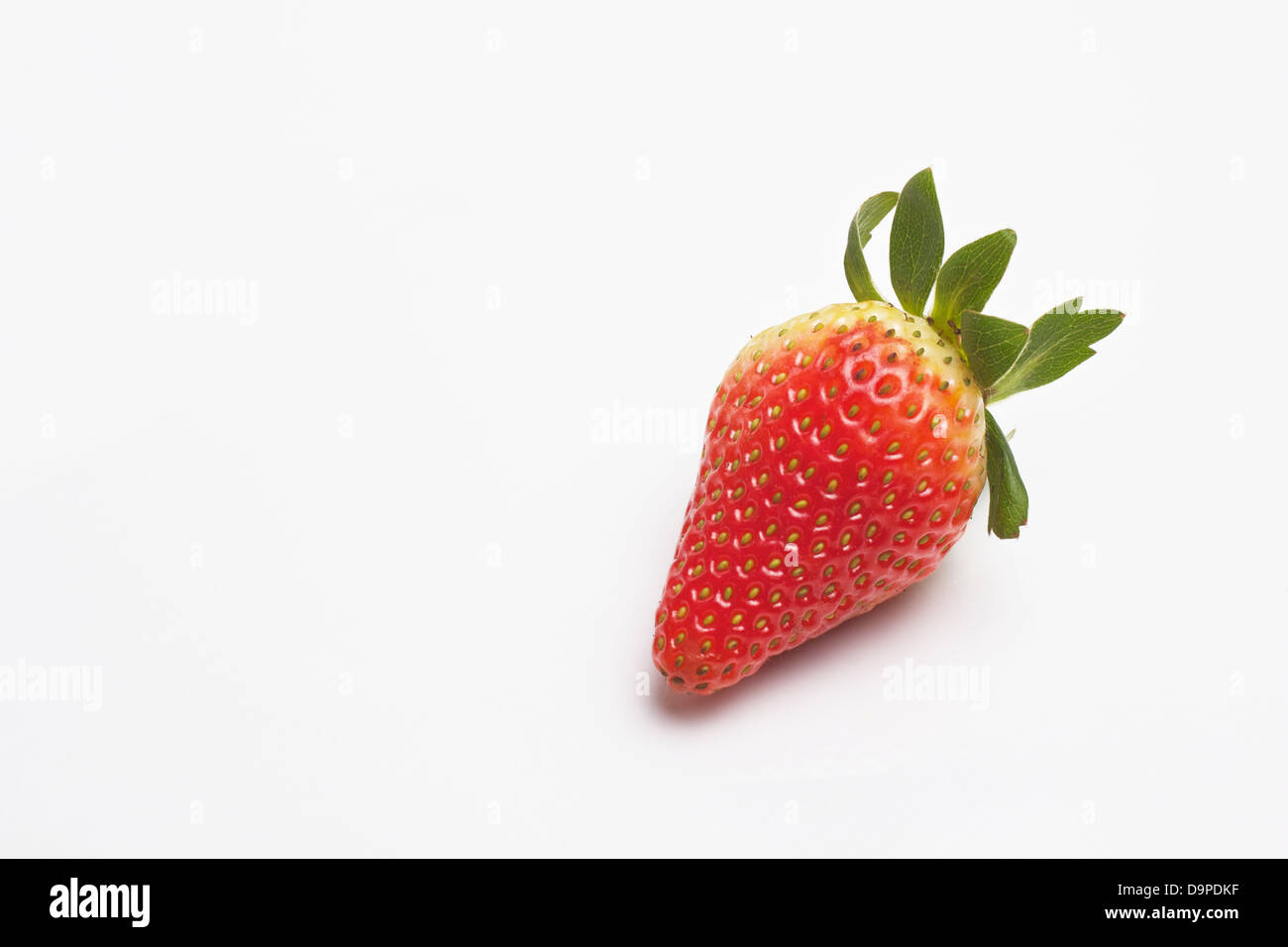 One strawberry isolated on white background Stock Photo - Alamy