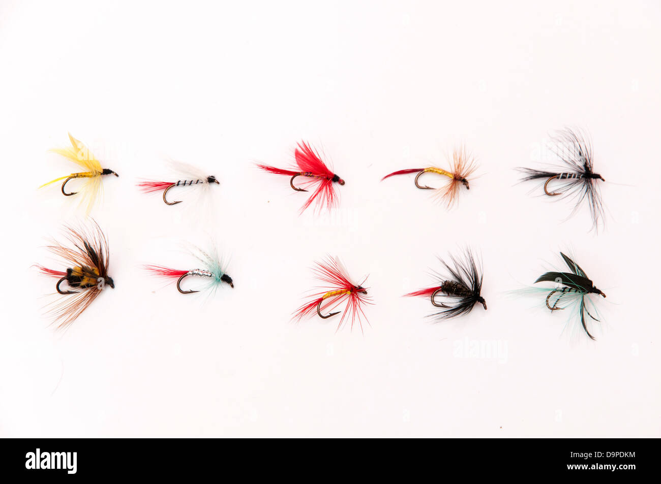 Metallic color flies hi-res stock photography and images - Alamy