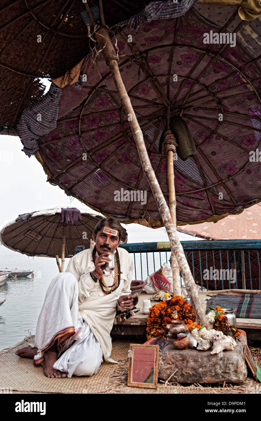 India portrait brahman hi-res stock photography and images - Alamy