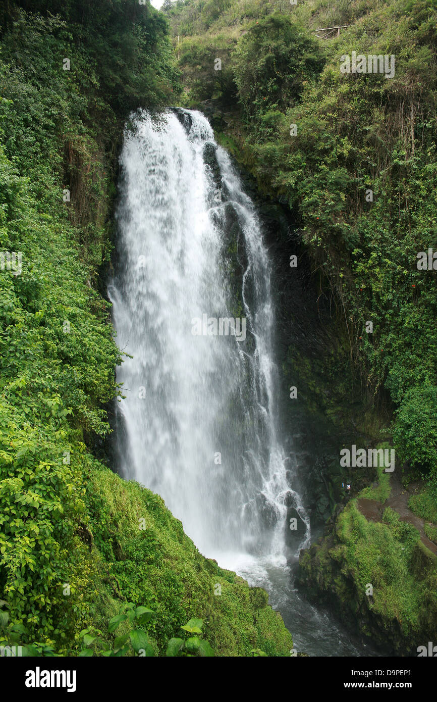The Peguche Falls cascade over a cliff near Otavalo, Ecuador Stock ...