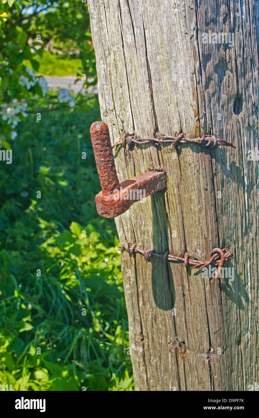 An old weathered wood gate post, with a rust pintle pin Stock Photo - Alamy