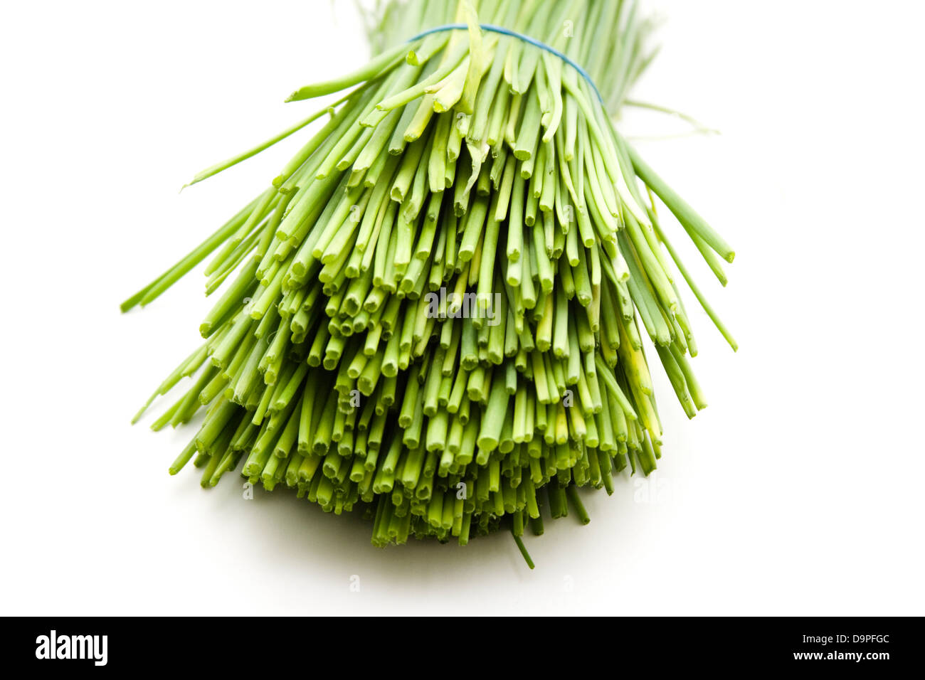 Fresh Green Chives on white background Stock Photo - Alamy