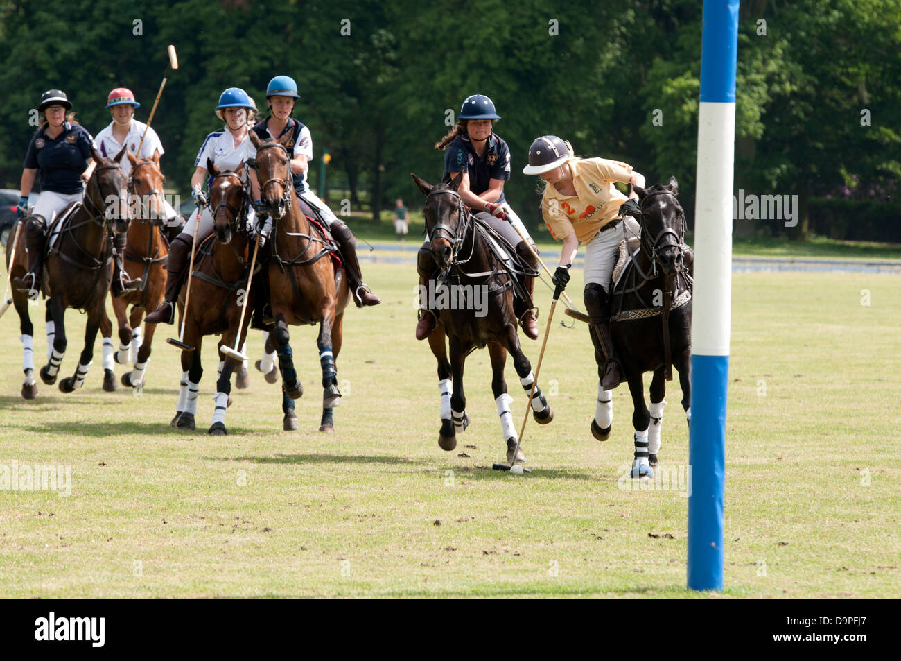 National University Polo Championships Stock Photo - Alamy