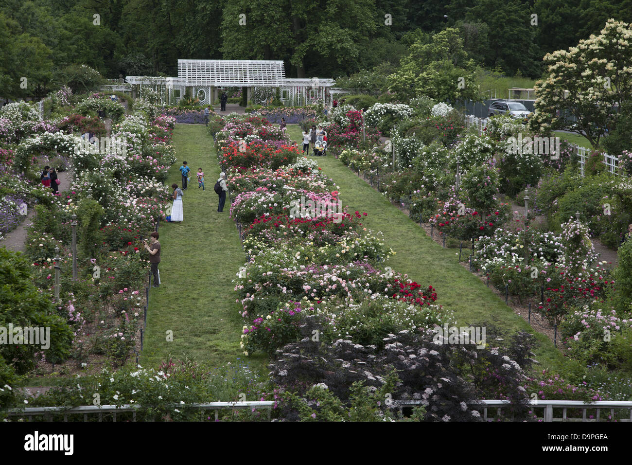Brooklyn botanic rose garden hi-res stock photography and images - Alamy
