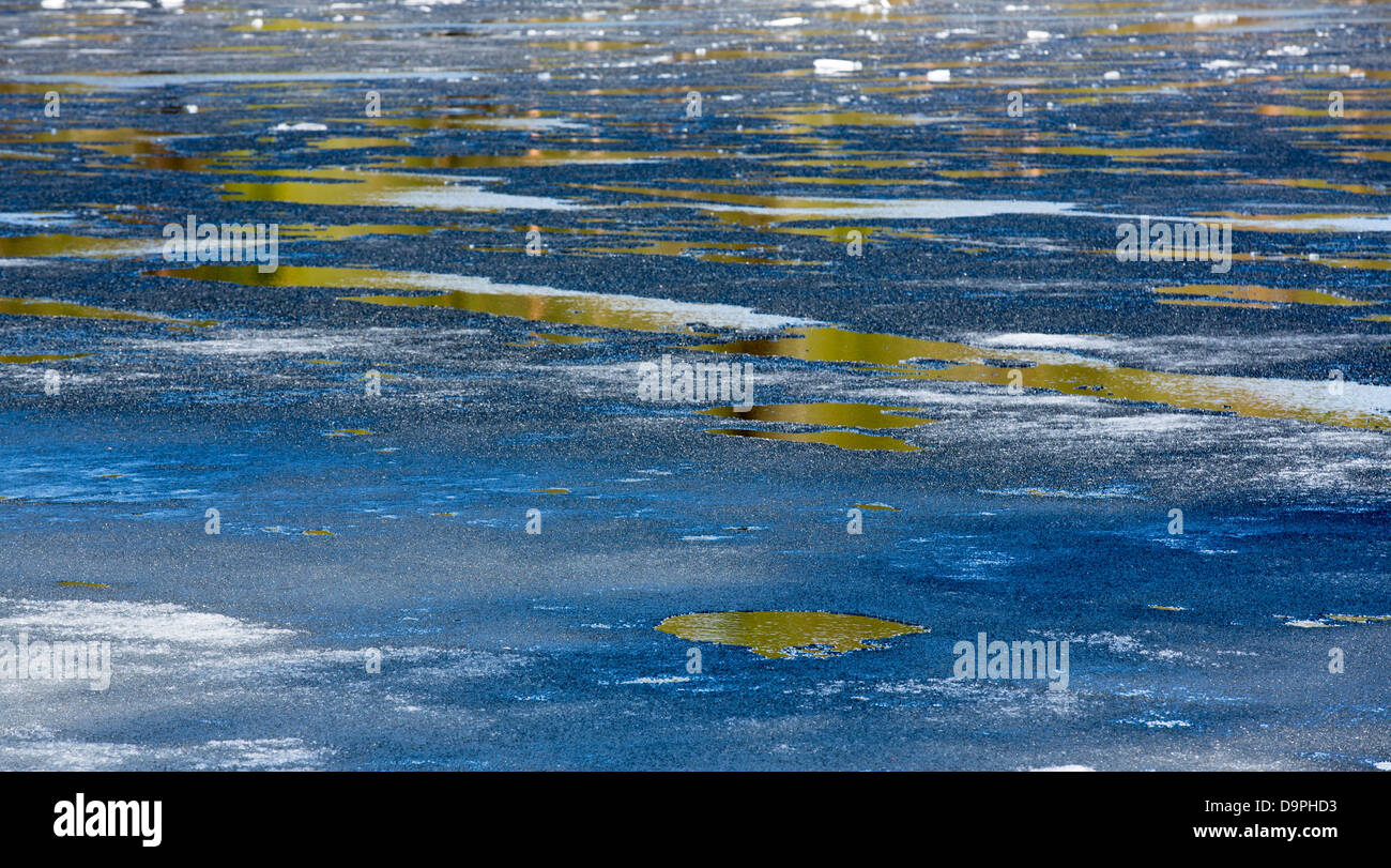 Thin layer of melting ice on water surface , Finland Stock Photo - Alamy