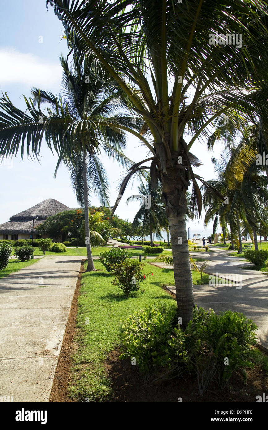 Tourist complex in a Caribbean beach Stock Photo - Alamy