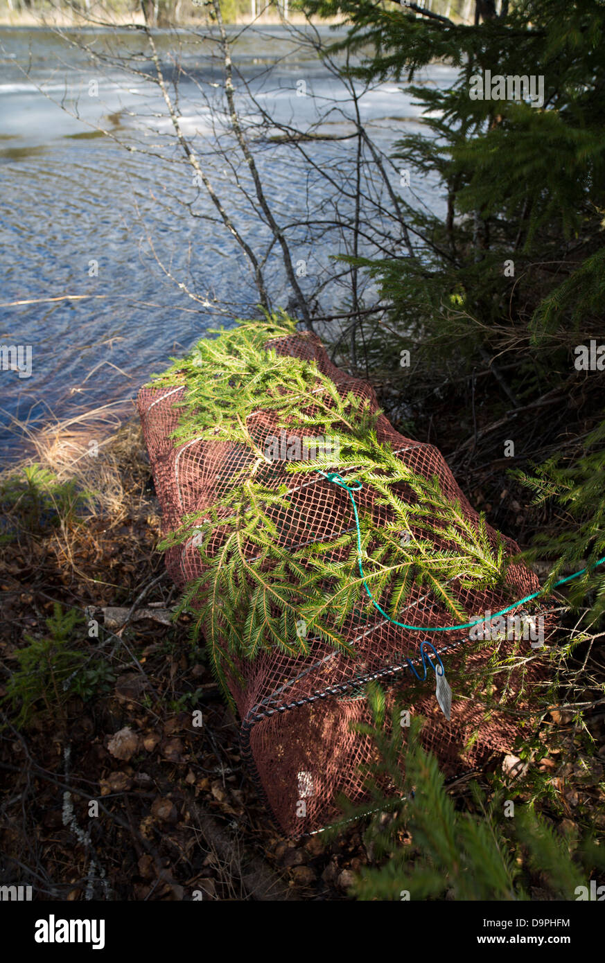 Fish Trap Cage High Resolution Stock Photography and Images - Alamy