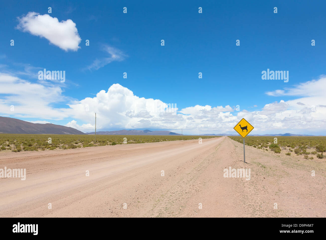 Road with warning sign of the appearance of llamas Stock Photo - Alamy