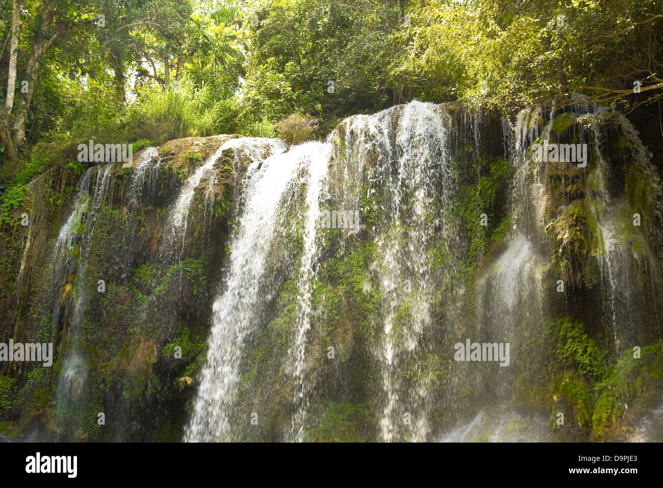 El Nicho waterfall, in Scambray mountains. Cienfuegos province, Cuba ... El Nicho waterfall, in Scambray mountains. Cienfuegos province, Cuba ...