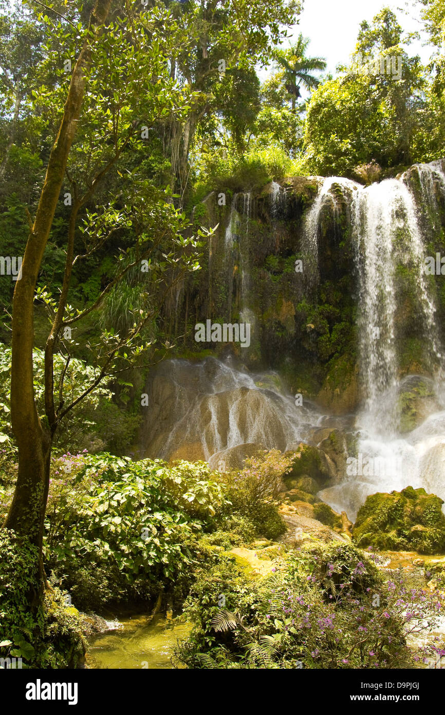 El Nicho waterfall, in Scambray mountains. Cienfuegos province, Cuba ... El Nicho waterfall, in Scambray mountains. Cienfuegos province, Cuba ...