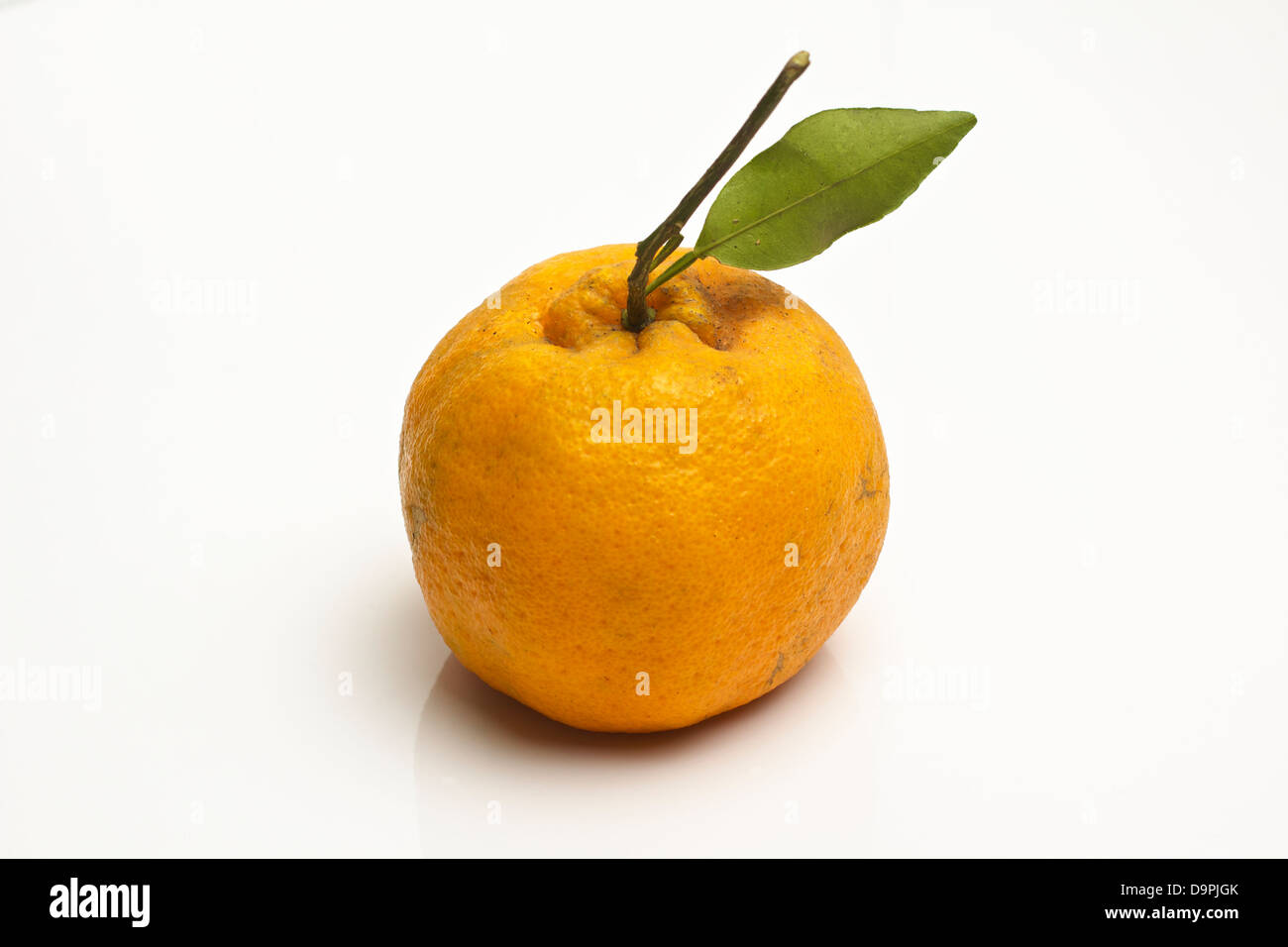 One tangerine hi-res stock photography and images - Alamy