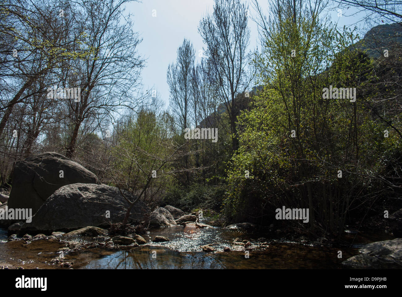landscape with river in Rupit Stock Photo - Alamy