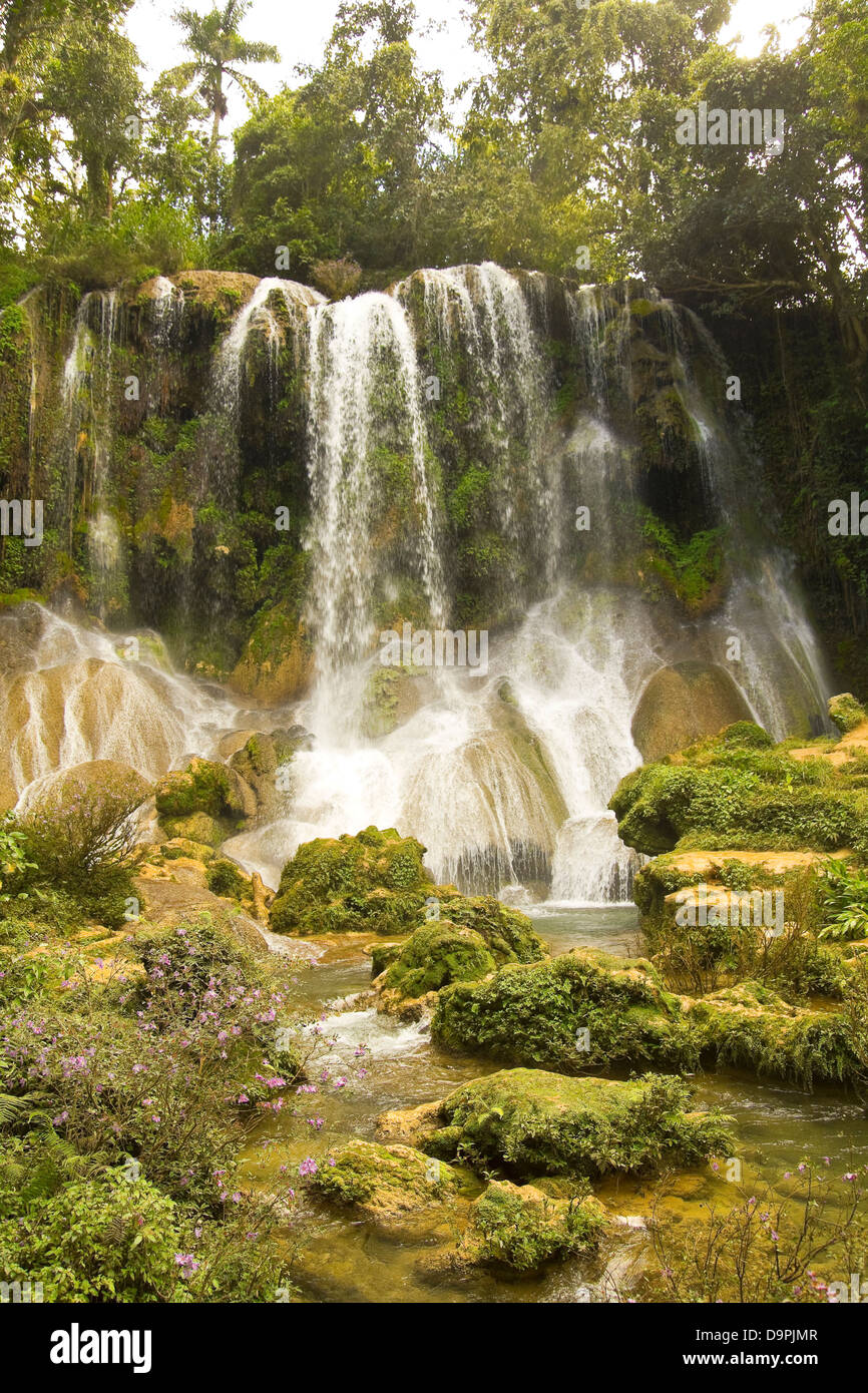 El Nicho waterfall, in Scambray mountains. Cienfuegos province, Cuba ... El Nicho waterfall, in Scambray mountains. Cienfuegos province, Cuba ...