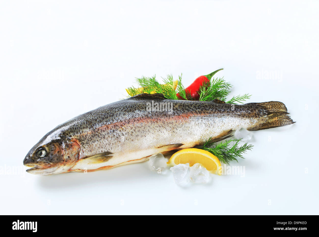 Studio shot of fresh trout Stock Photo - Alamy