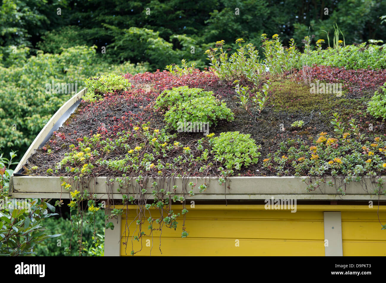Living roof hi-res stock photography and images - Alamy