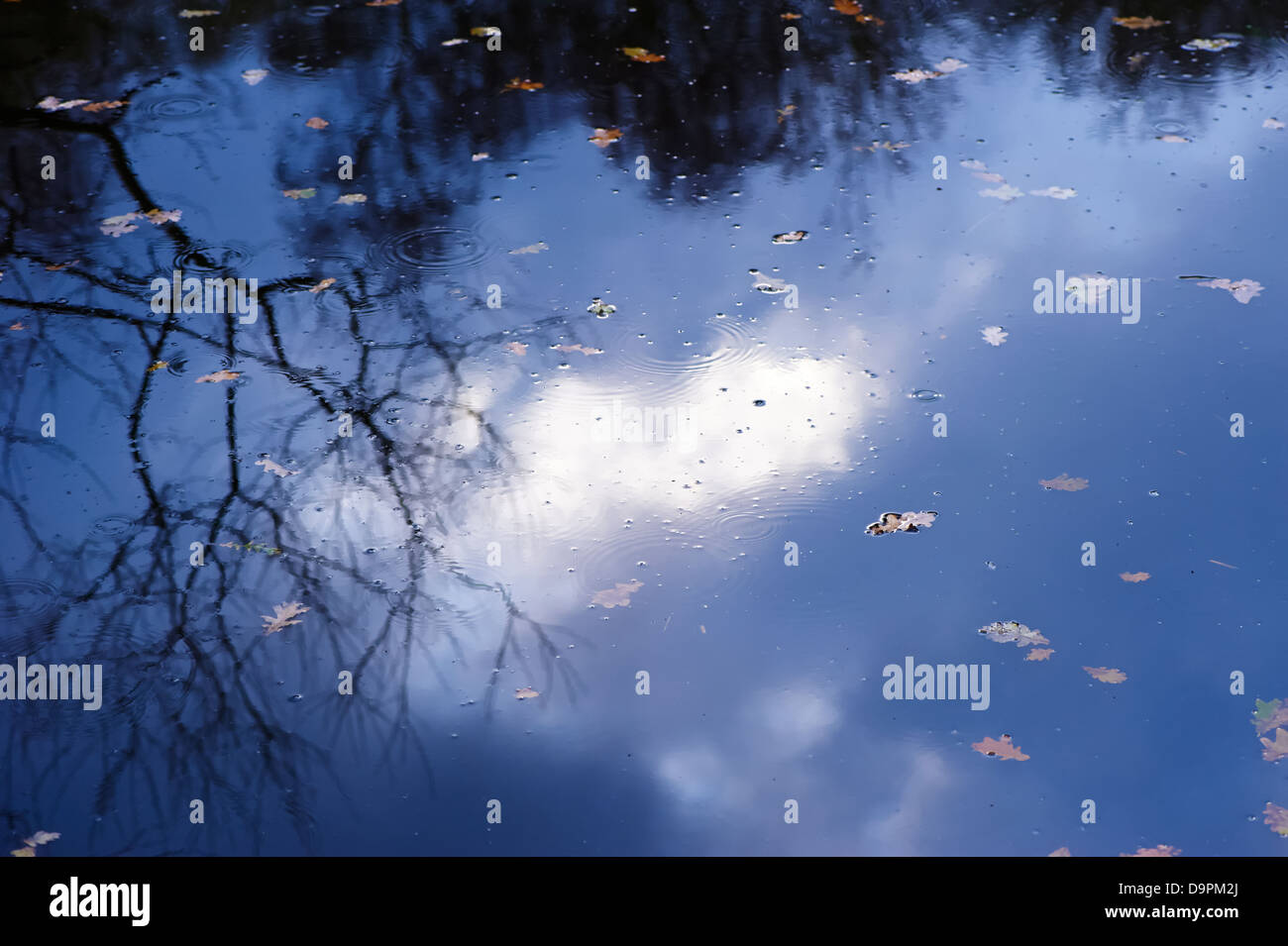 REflections of trees and clouds in the surface of a pond Stock Photo ...
