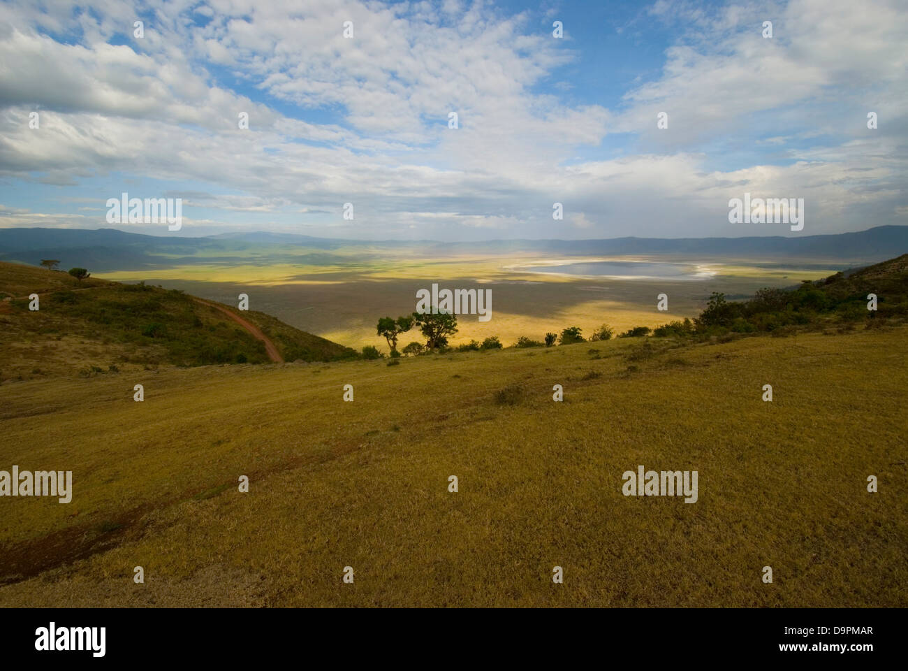 Caldera of the Ngorongoro crater (view from the crater-rim near the ...