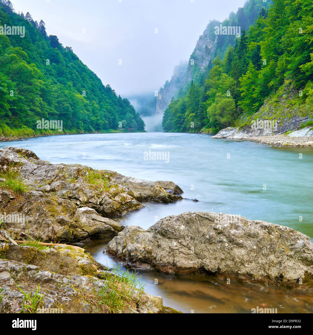 The gorge of mountain river in the morning. Dunajec, Pieniny Stock ...