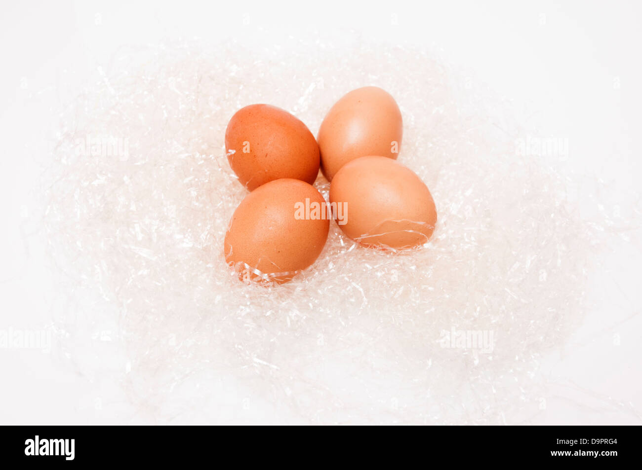 hen eggs forming a circle on a white background Stock Photo - Alamy
