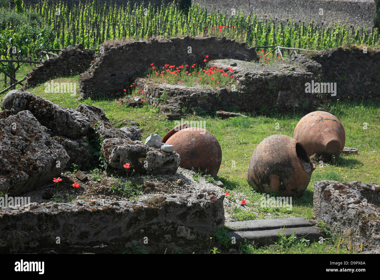 The amphora at Garden of the refugees, Pompeii, Campania, Italy Stock ...