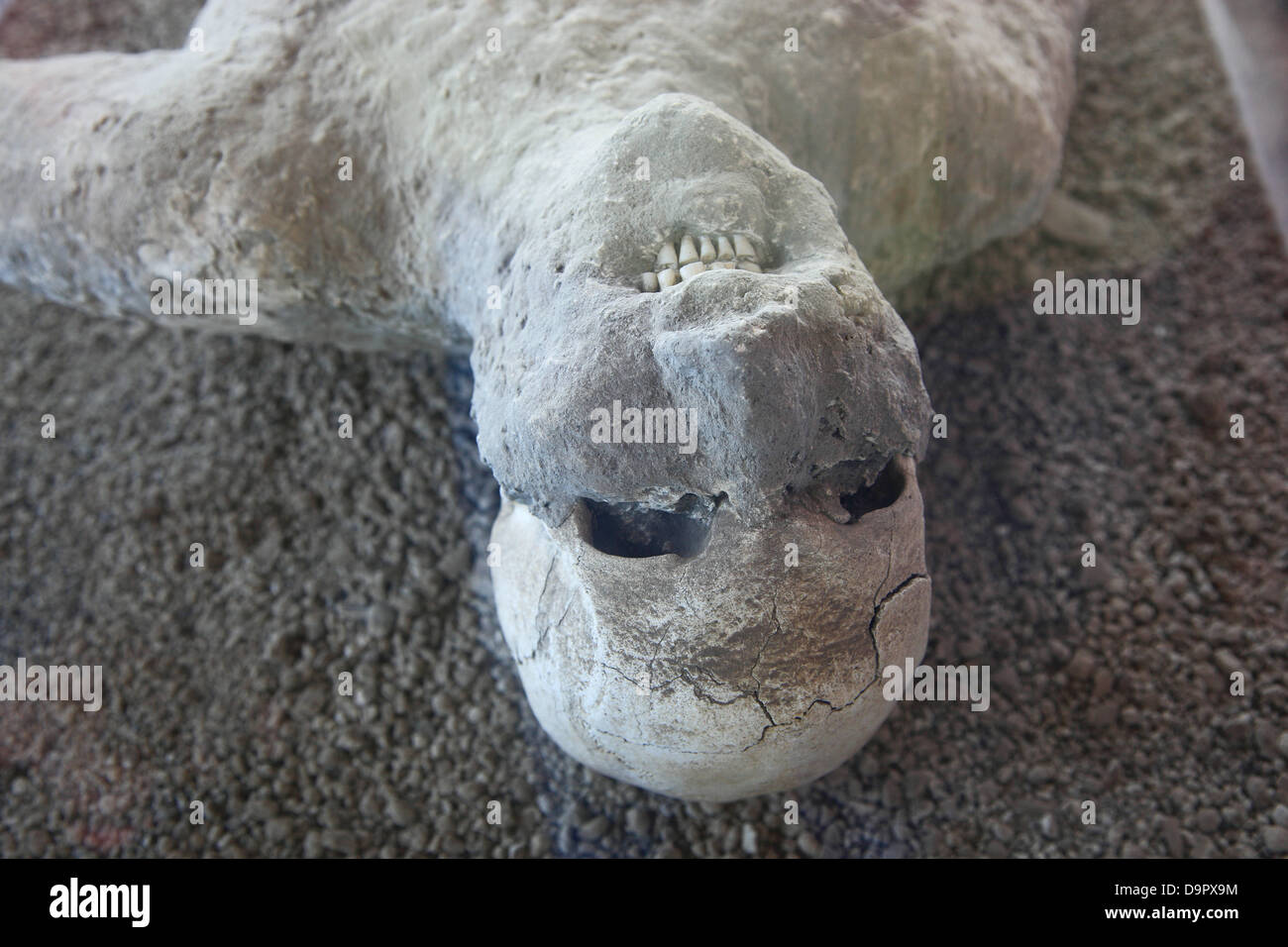 Pompeii Victims High Resolution Stock Photography and Images - Alamy
