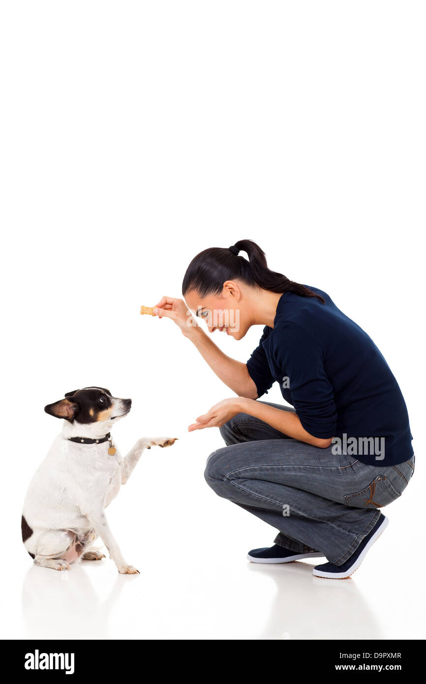 Very beautiful dog Cut Out Stock Images & Pictures - Alamy