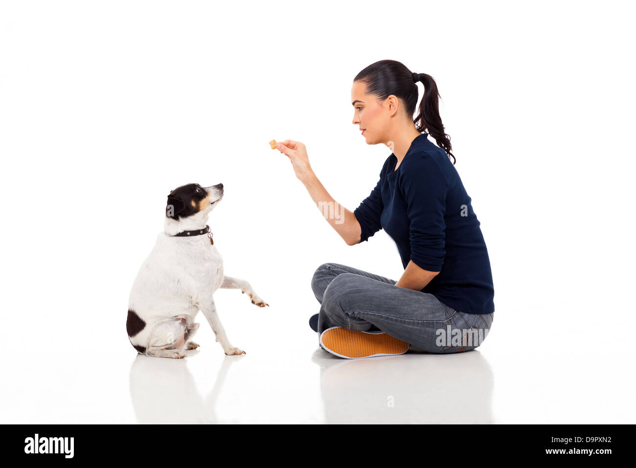 modern woman training a dog isolated on white background Stock Photo ...