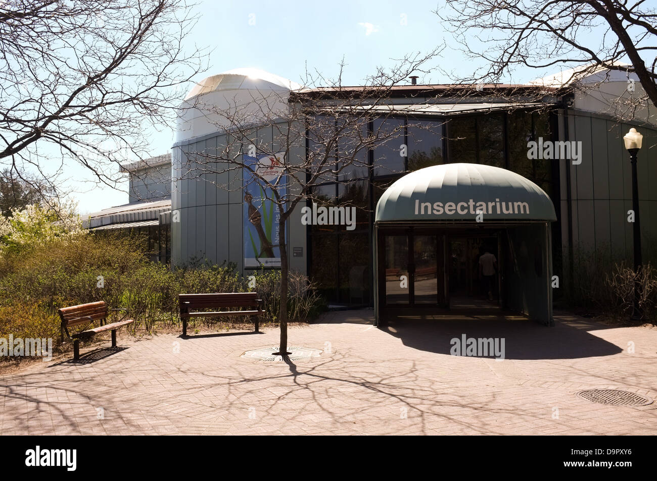 Insectarium de montreal hi-res stock photography and images - Alamy