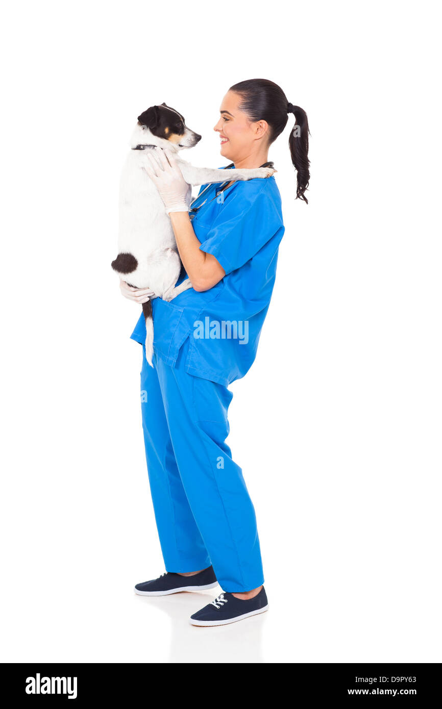 Doctor dog hi-res stock photography and images - Alamy